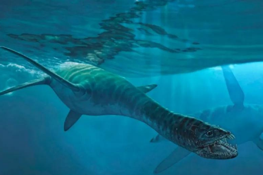 Exhiben un reptil que inspiró al Nahuelito y al monstruo del Lago Ness ...