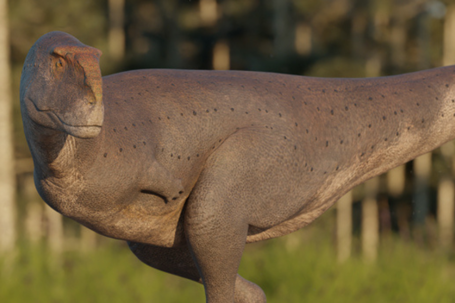 Chubut: hallan nueva especie de dinosaurio carnívoro que vivió hace 69 ...