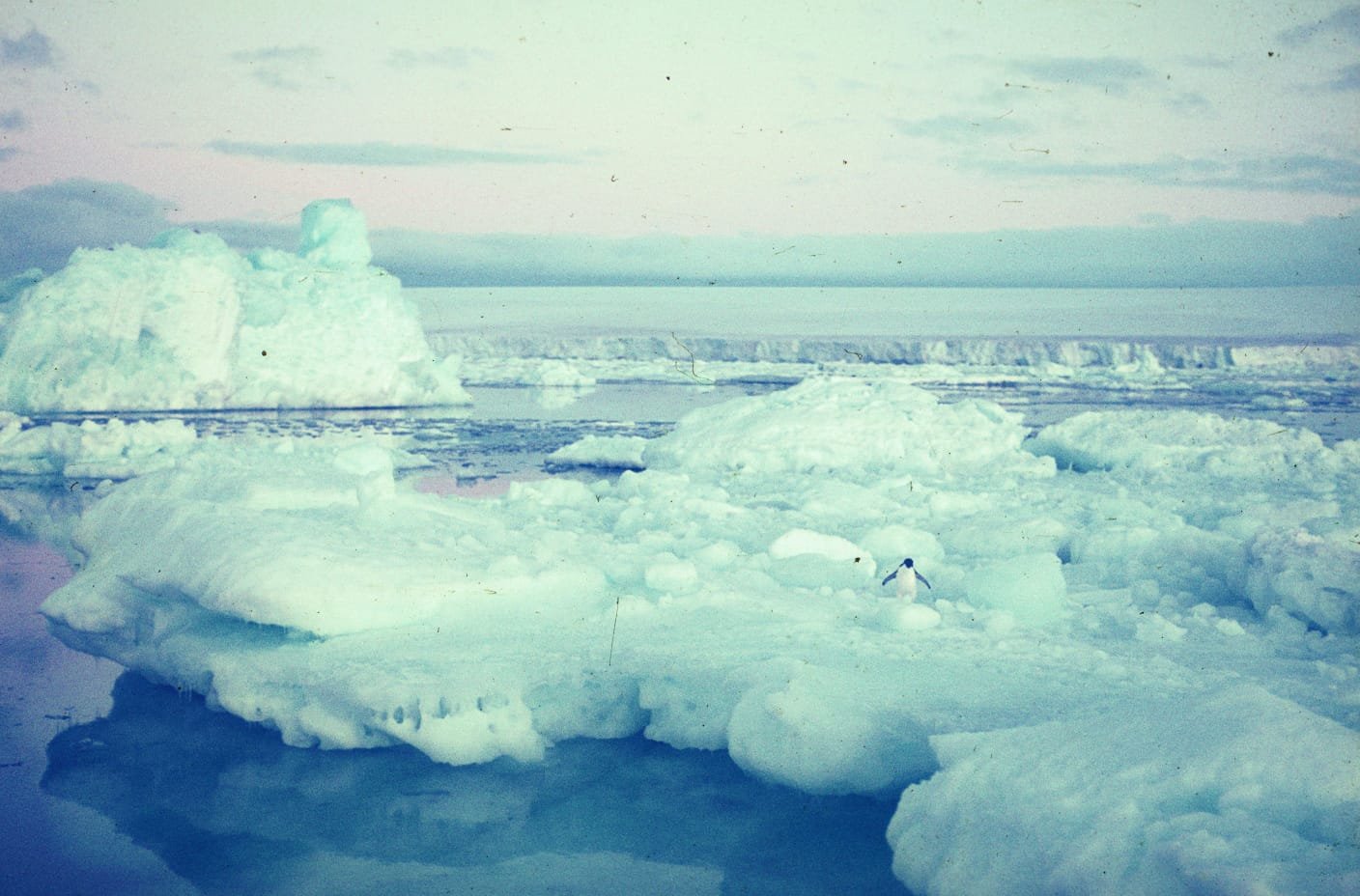 “Los límites del mundo”: el nuevo proyecto de Nicolás Deluca - El ...